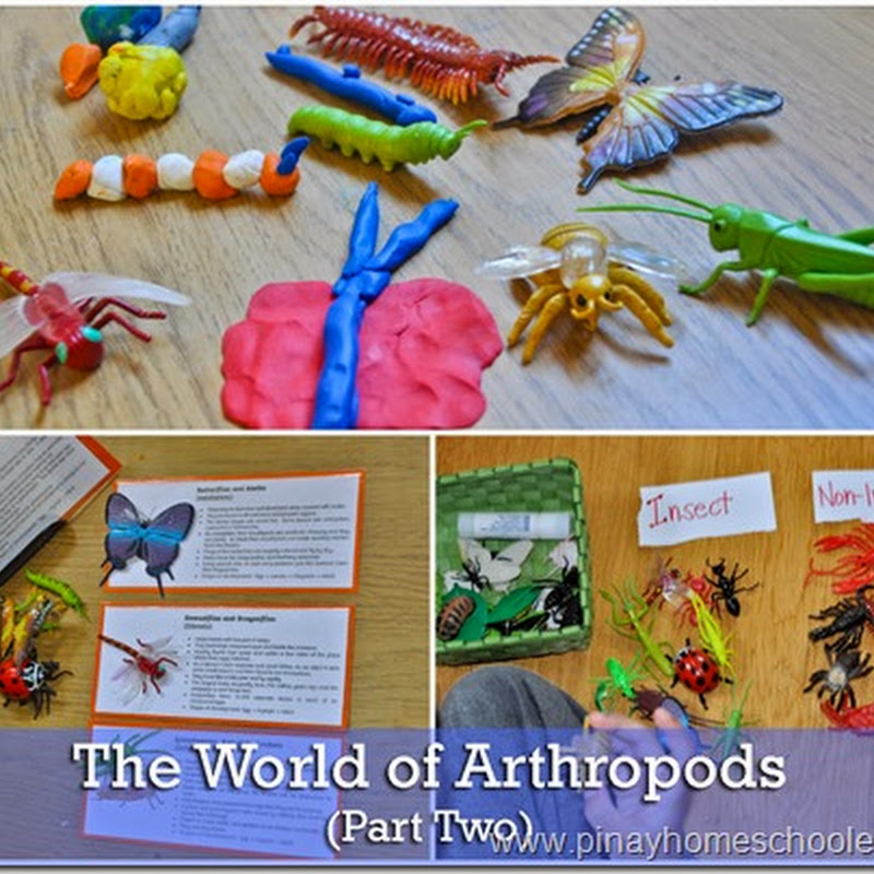 The World of Arthropods for Kids (Part Two) | The Pinay Homeschooler