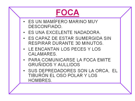 FOCA FICHA DE PRIMARIA DE LA FOCA