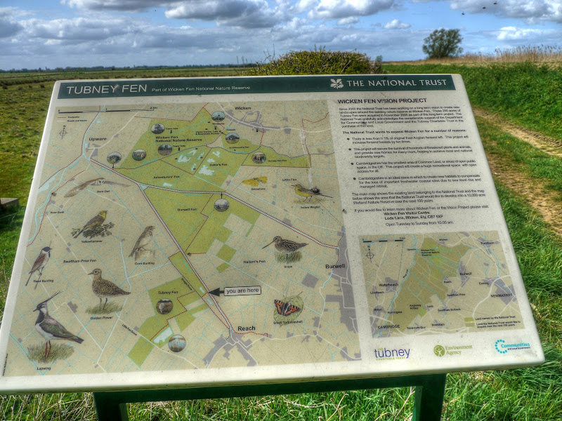 Keep Pushing Those Pedals: Exploring Reach Lode