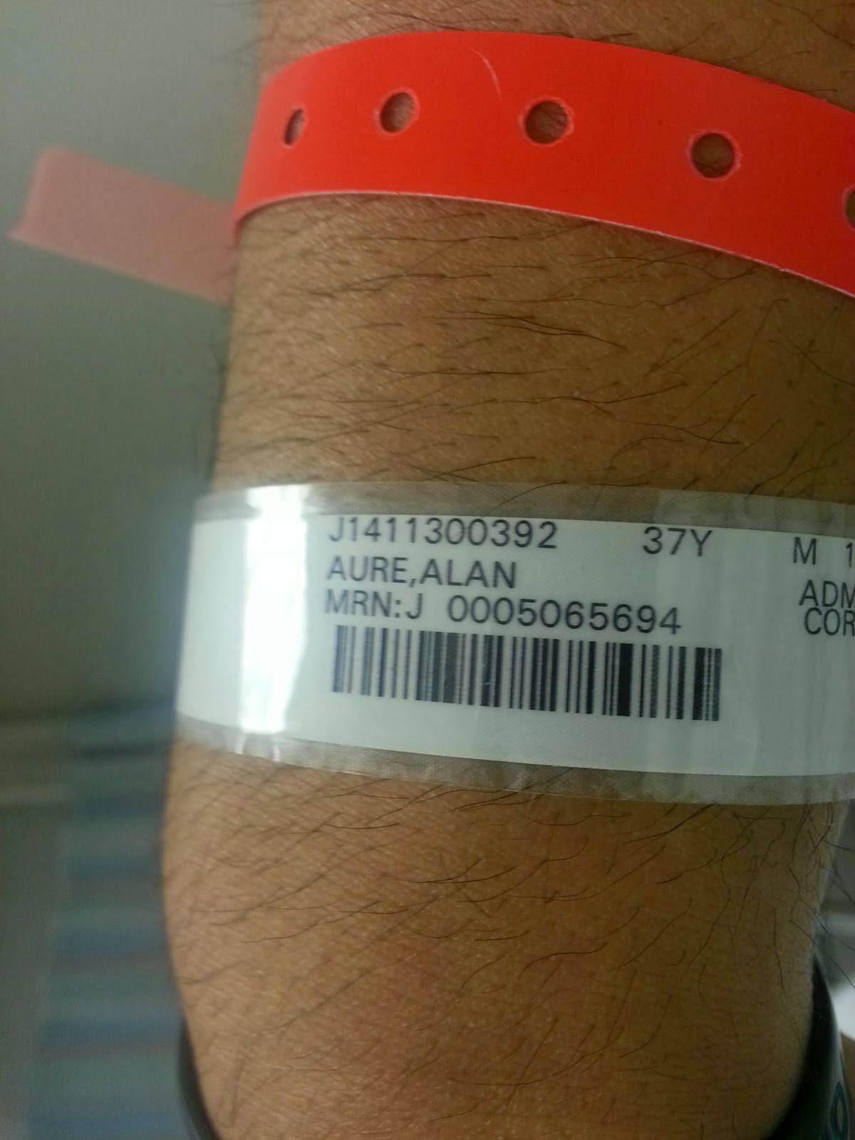 View from My Side of the Net