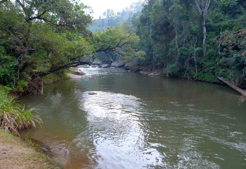 Hazyview Lodges - Tanamera Lodge und Timamoon Lodge | Outback Africa ...