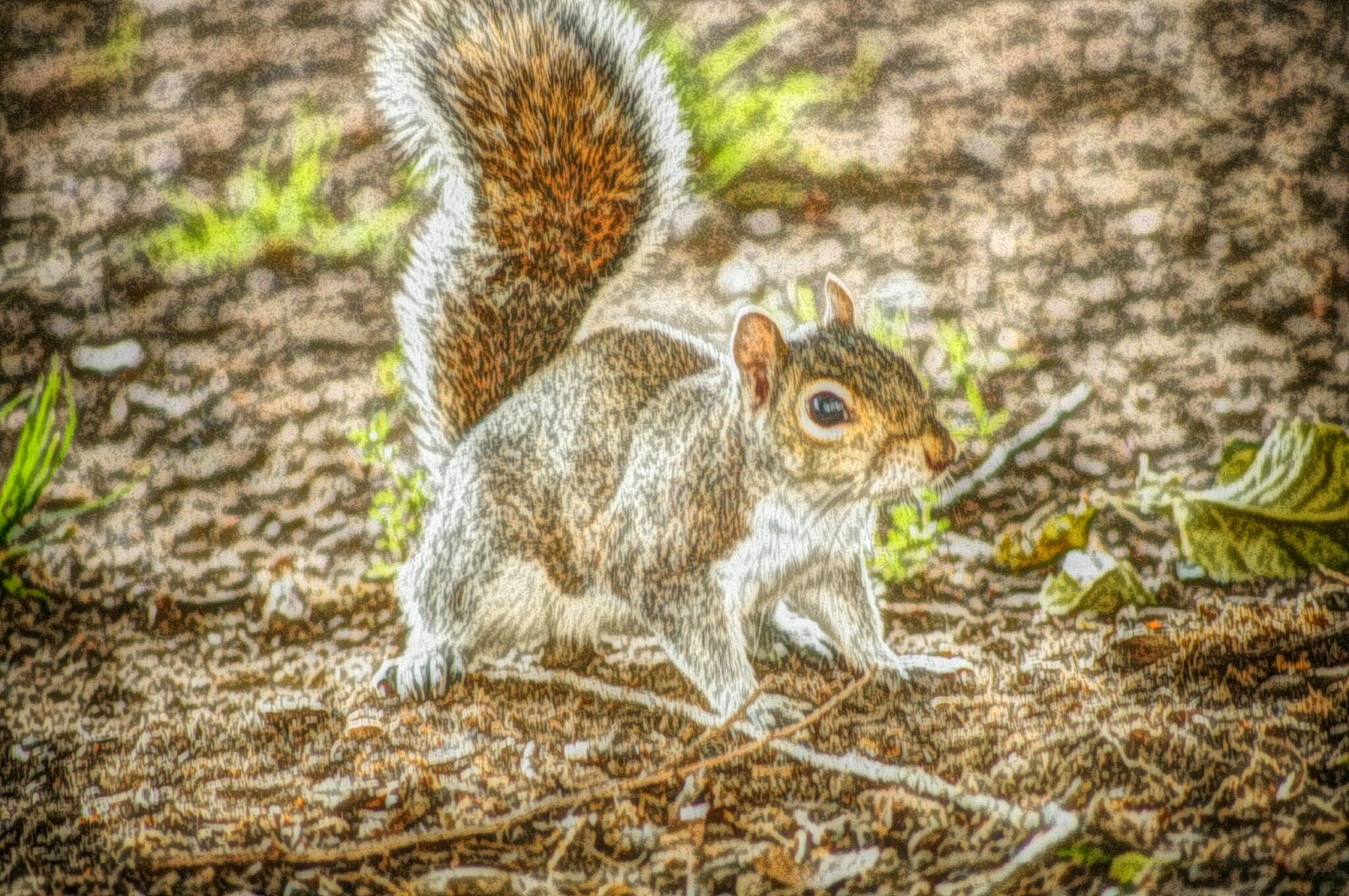 15 random free pictures - 1 million free pictures