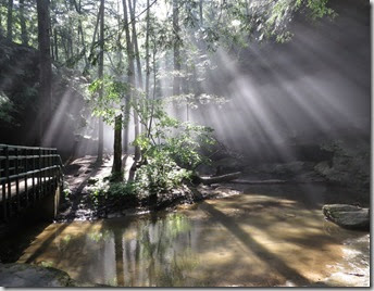 Traveling with Pam: Hocking Hills State Park, Ohio–part 2 Old Man’s ...