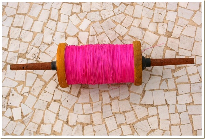 Nothing Official Here: The Kite Flying...