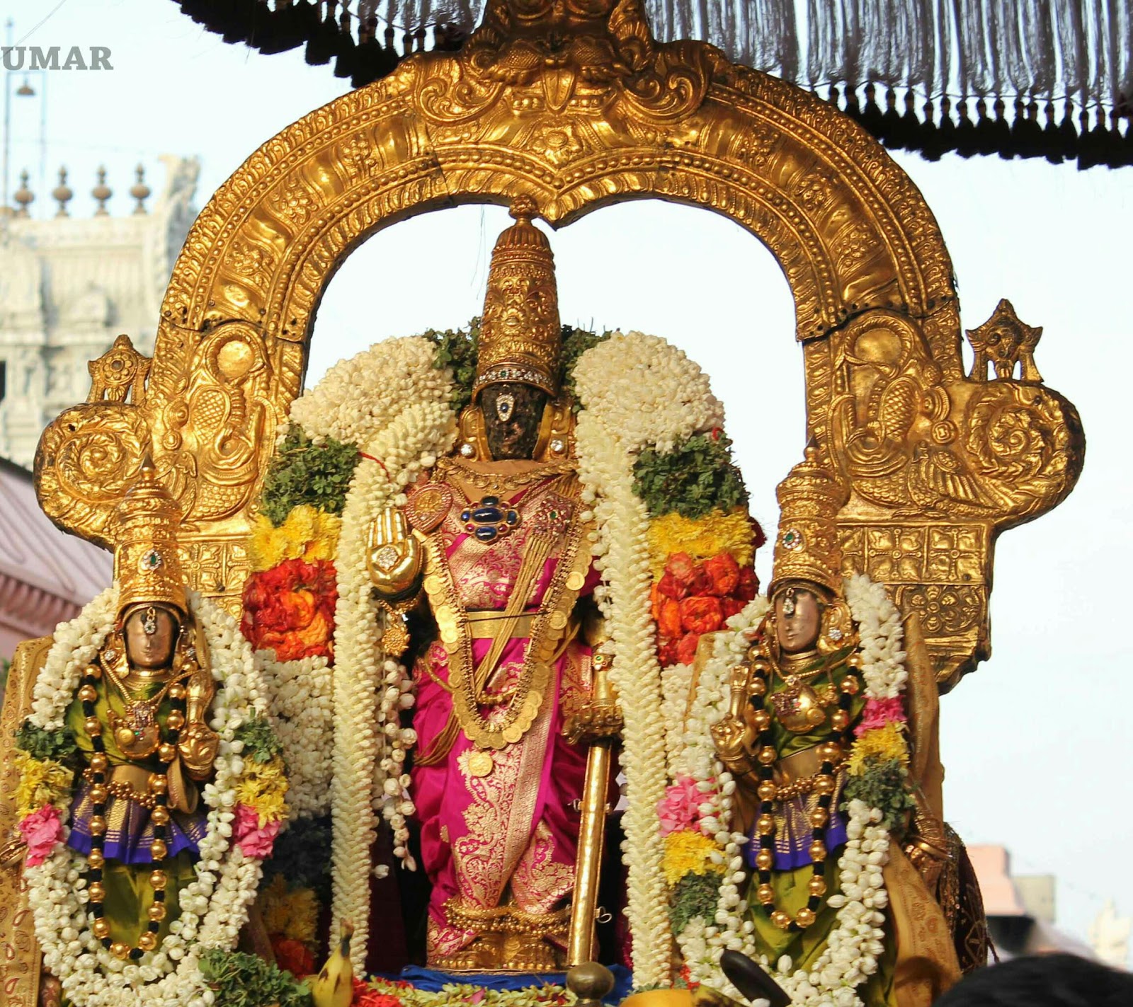 Parthasarathy: Vaikasi pournami purappadu sri Parthasarathy swamy purappadu