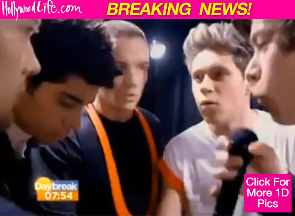 American Stars: One Direction 3D Movie Trailer First Look — Watch Now