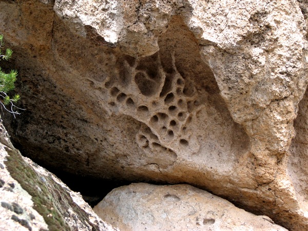 OutinDeWoods: Honeycomb Rocks - Dixie National Forest, Utah