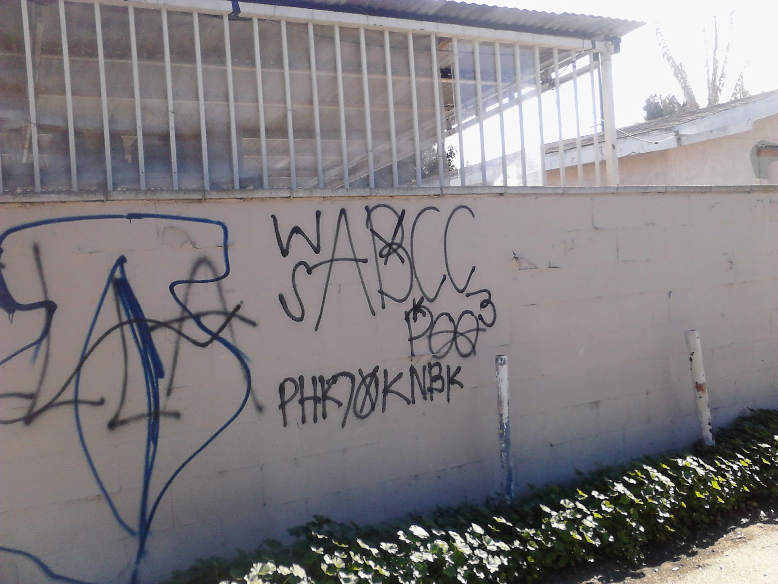 crip gangs graffiti: Acacia block compton crip