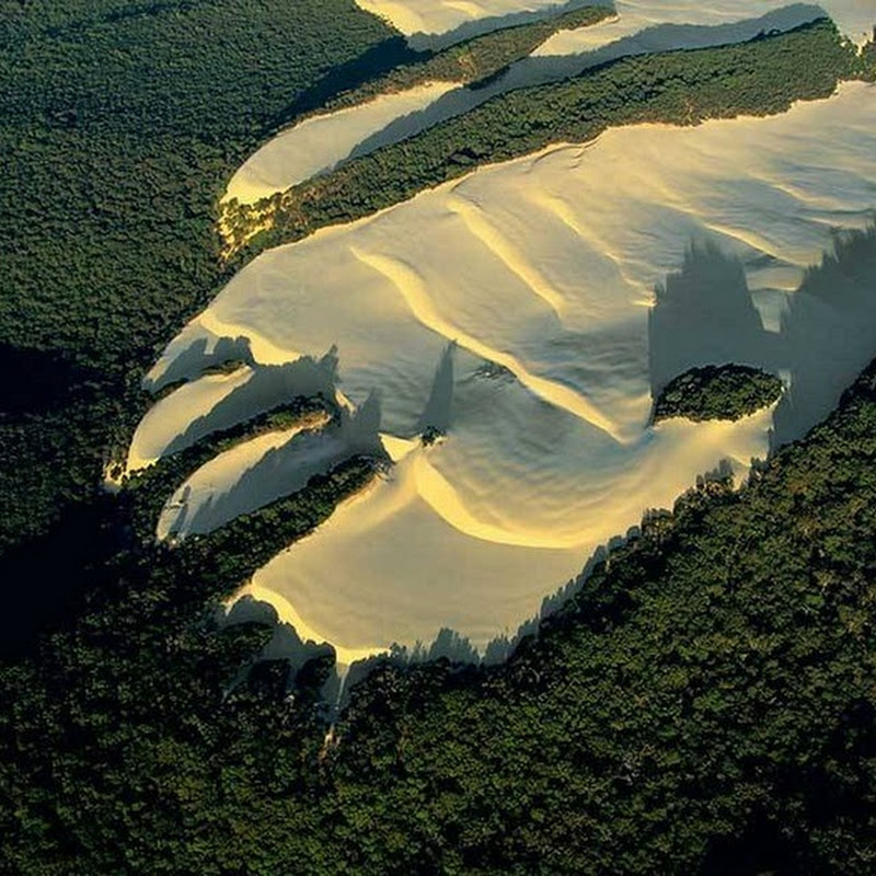 Travelling Sand Dunes of Fraser Island | Amusing Planet