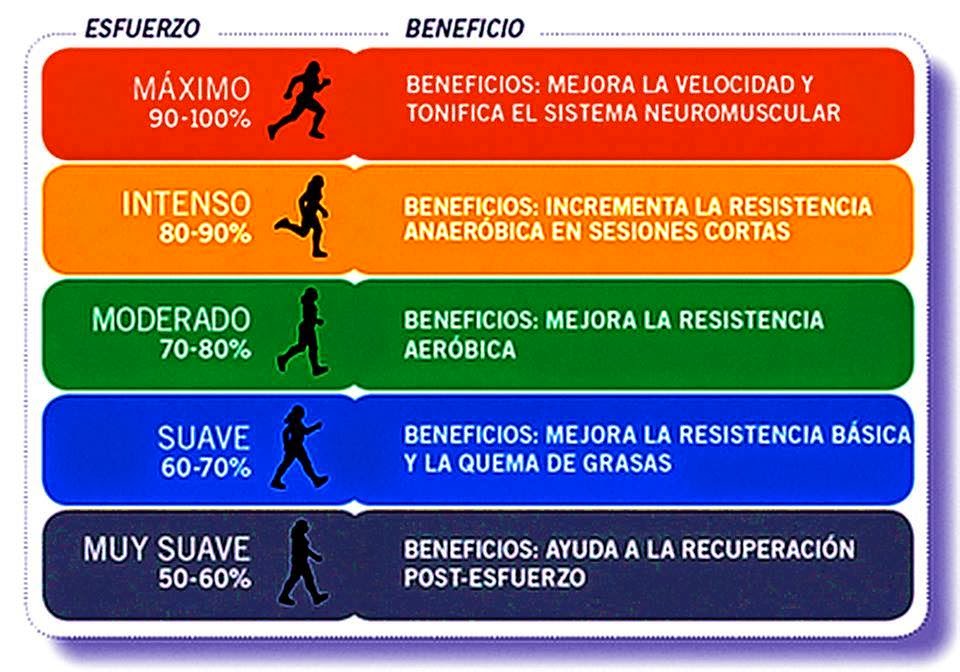 Correcaminos Intensidad De Entrenamiento