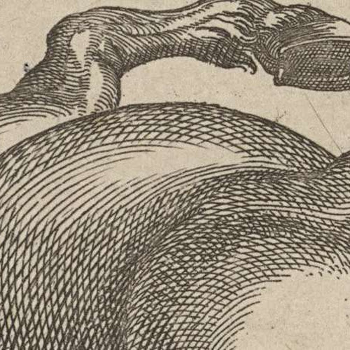 horse-Collected works of Dam Phuong - All Rijksstudio's - Rijksstudio - Rijksmuseum