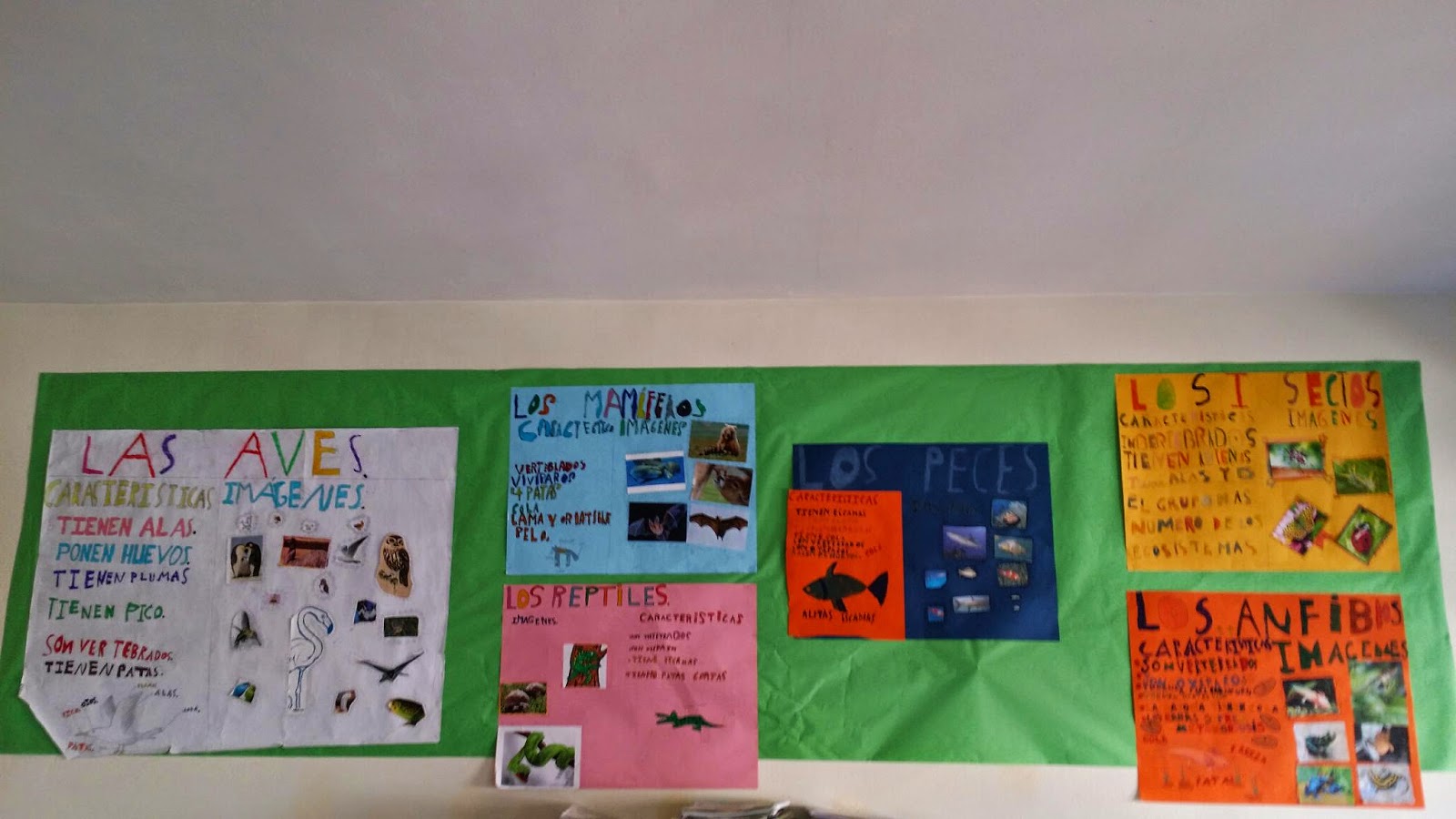 BLOG DE SEGUNDO CEIP LOS ANTOLINOS.: Mural:"Los animales".