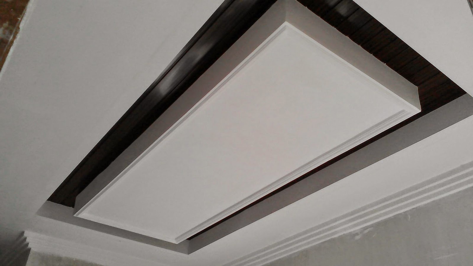 Siling fiber+siling kapor+ctwood