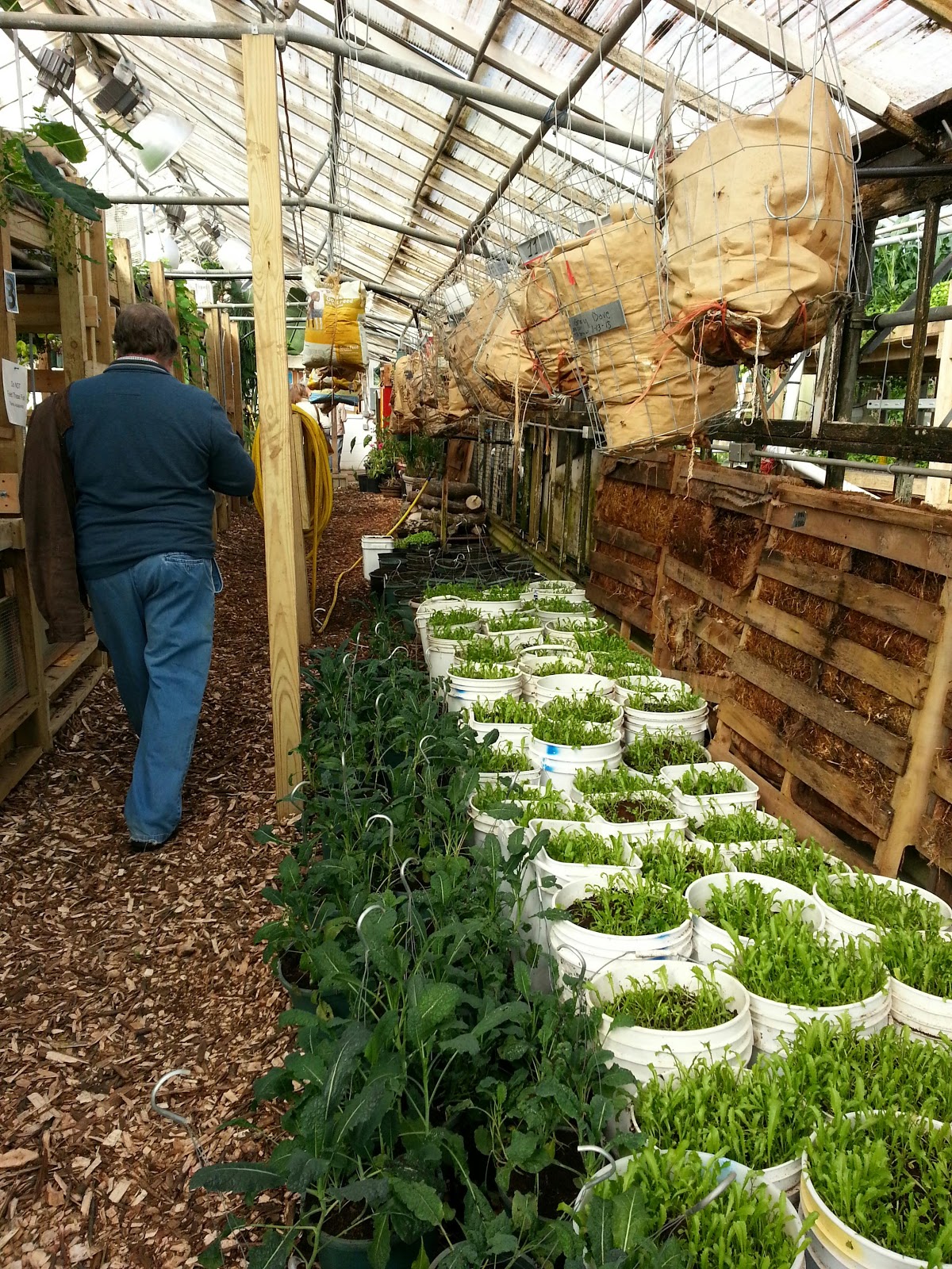 Urban Gardening Initiative: Growing Power tour in Milwaukee, Wisconsin!