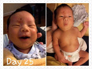 My precious baby - Jadon Tan: Day by day, little by little