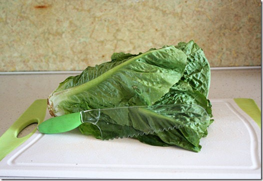 Bring On The Baskets: How to: lettuce