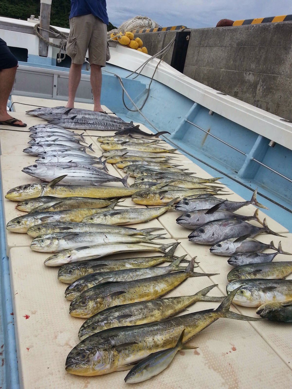沖縄釣りチャター Okinawa Fishing: August 2014