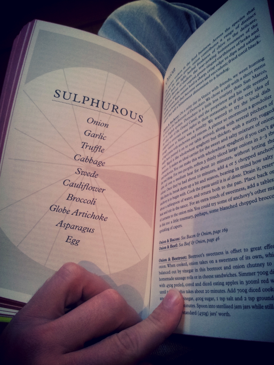 Food Infographics: Flavour Thesaurus Infographic