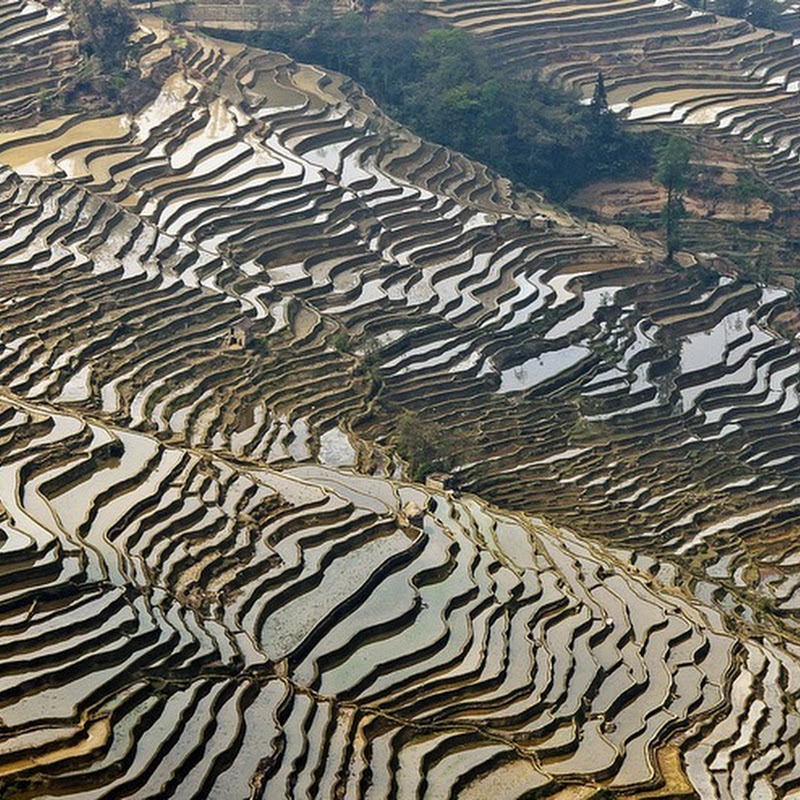 Honghe Hani Rice Terraces Now a UNESCO World Heritage Site | Amusing Planet