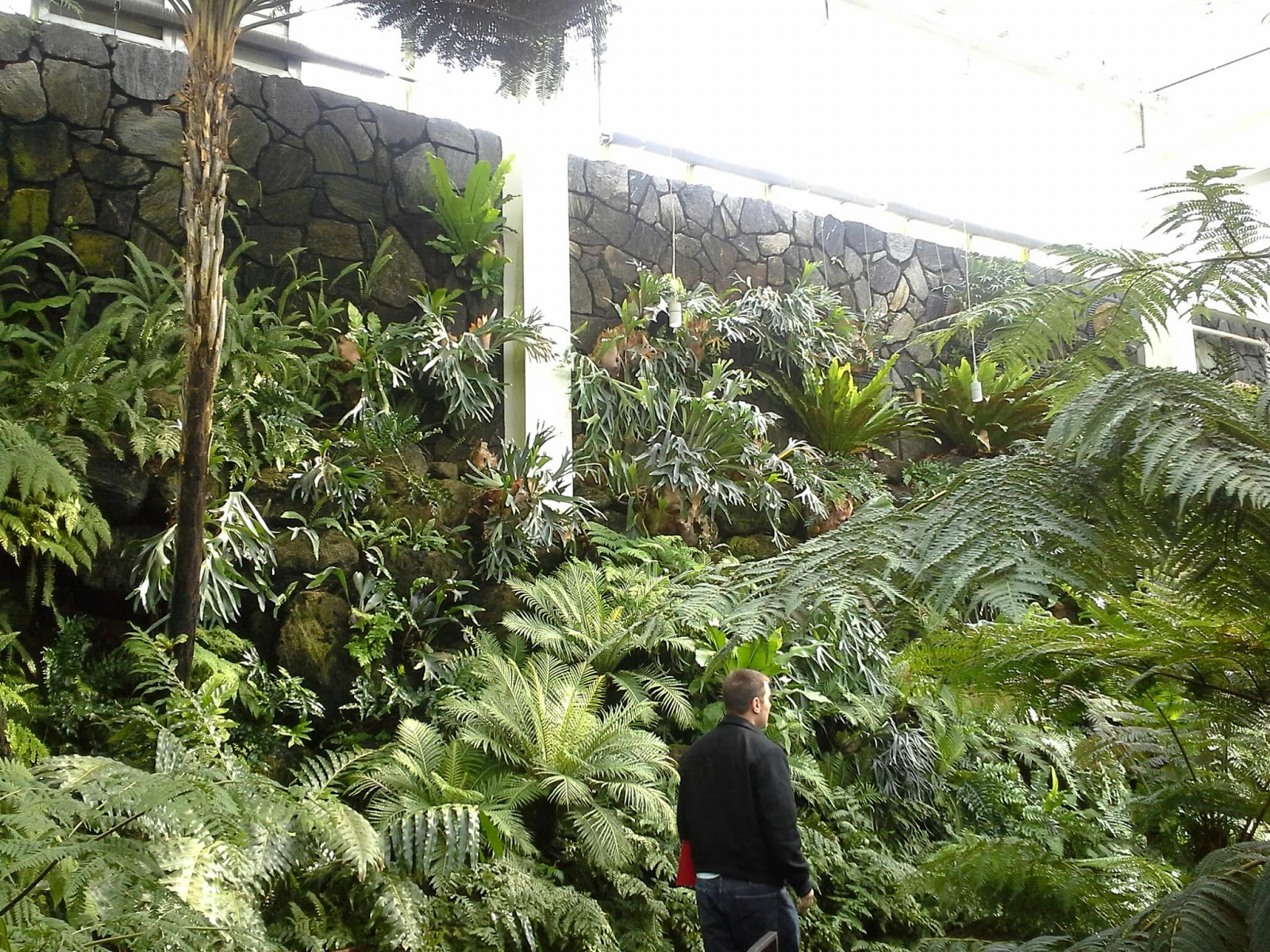 Yes, I Talk to Plants: Como Zoo Conservatory
