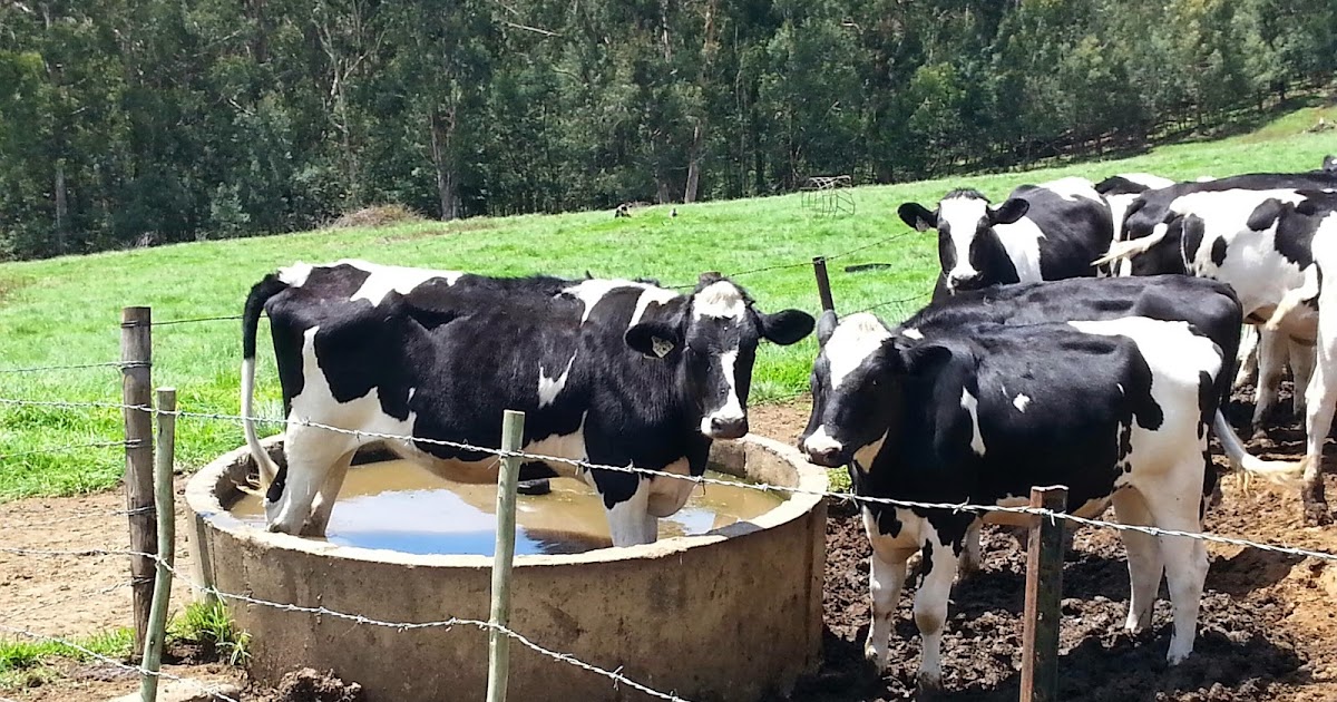 The Introspective Soliloquist: Back from sabbatical!