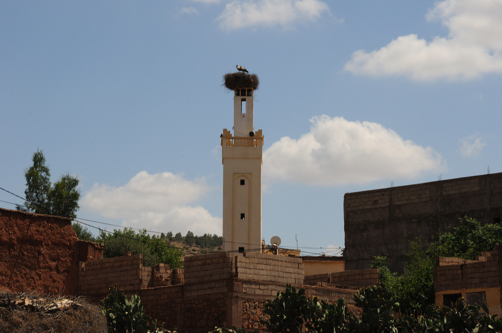 Photos bzou morocco - bzou90