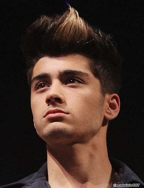 Zayn,1D =D & Tu: CAPITULO 1 , 1D