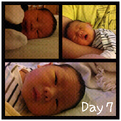 My precious baby - Jadon Tan: Day by day, little by little