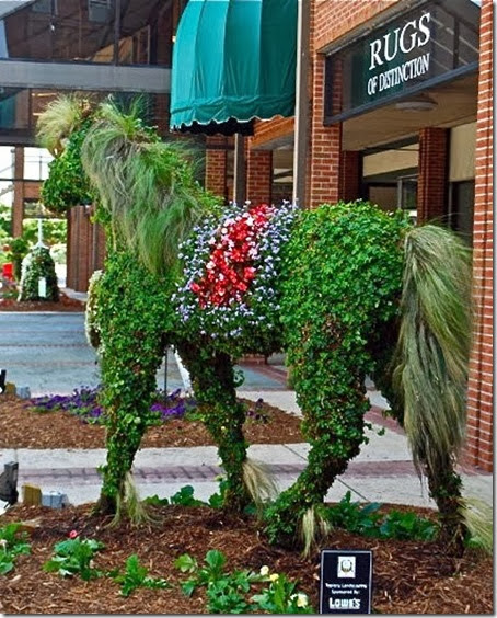 All in the Detail: a beautiful topiary
