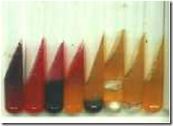 KOLEKSI TUGASAN: MIKROBIOLOGI - UJIAN FERMENTASI GULA, UJIAN OKSIDASE ...