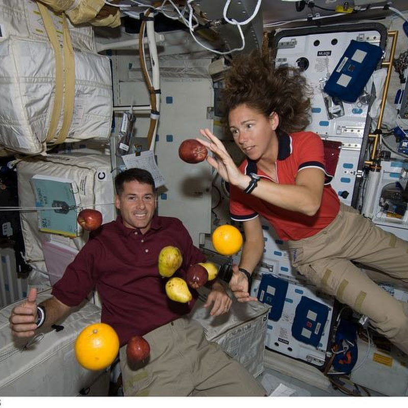Astronaut Sandra Magnus Cooks in Zero Gravity | Amusing Planet