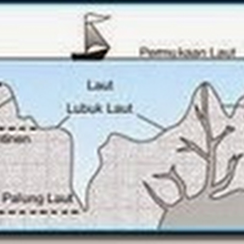 Morfologi Dasar Laut