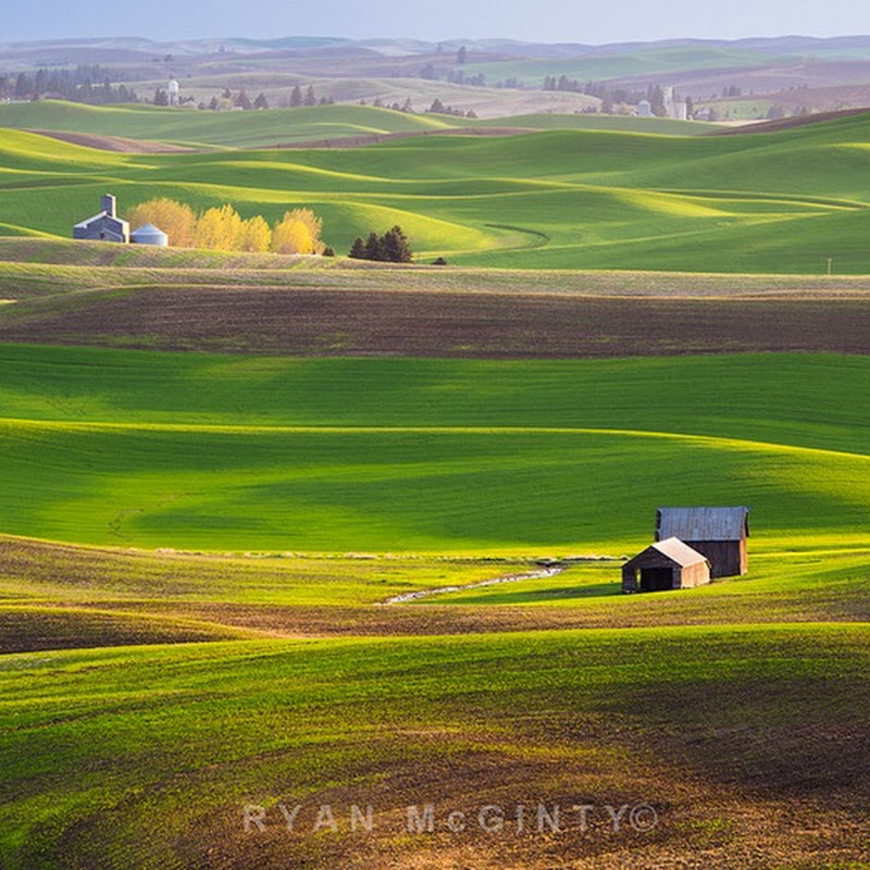 Colorful Rolling Grasslands of Palouse | Amusing Planet