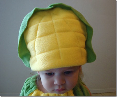 Como hacer un disfraz de mazorca - Imagui