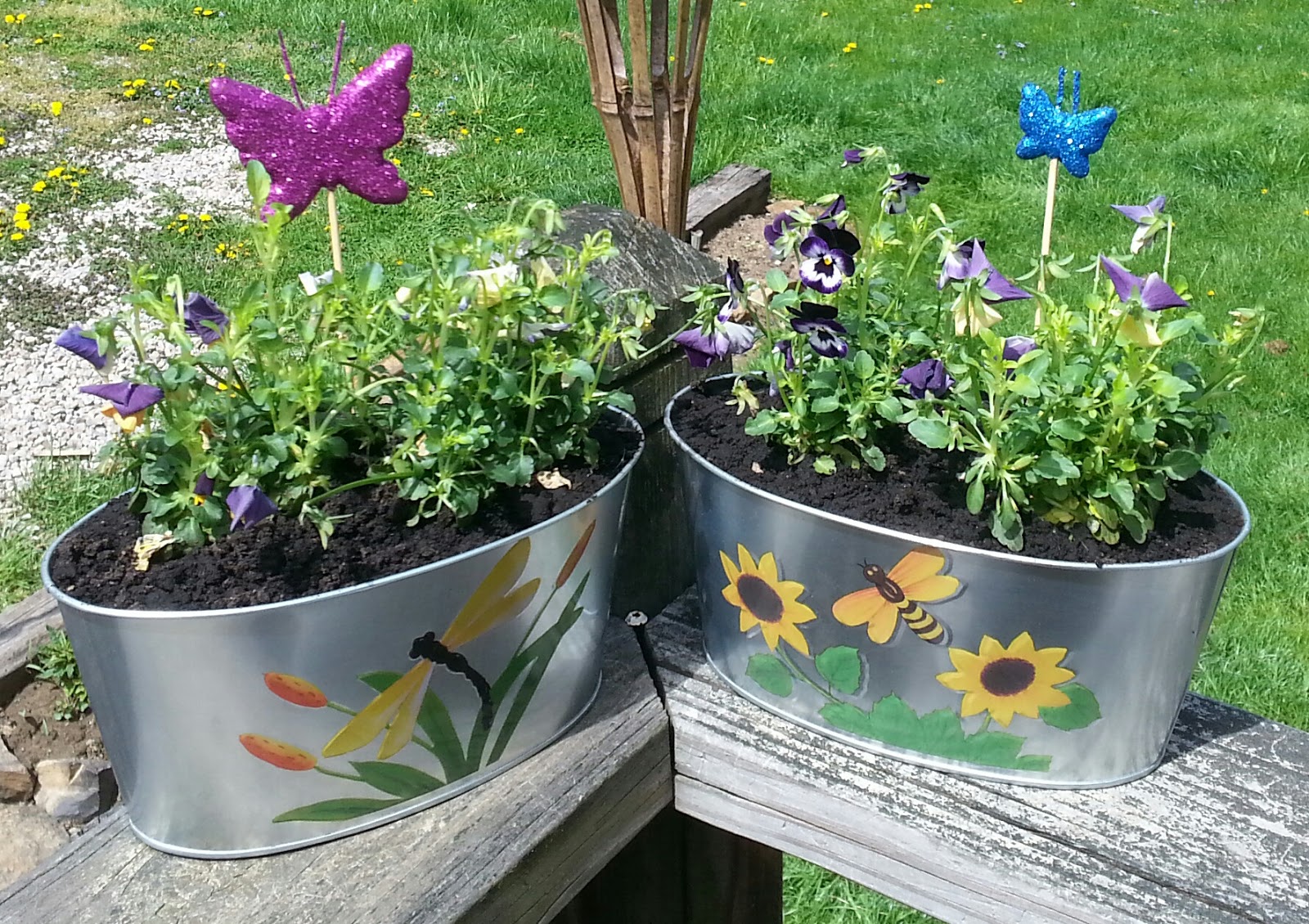 A Poor Mom's Guide to Country Living: DIY Viola Planters