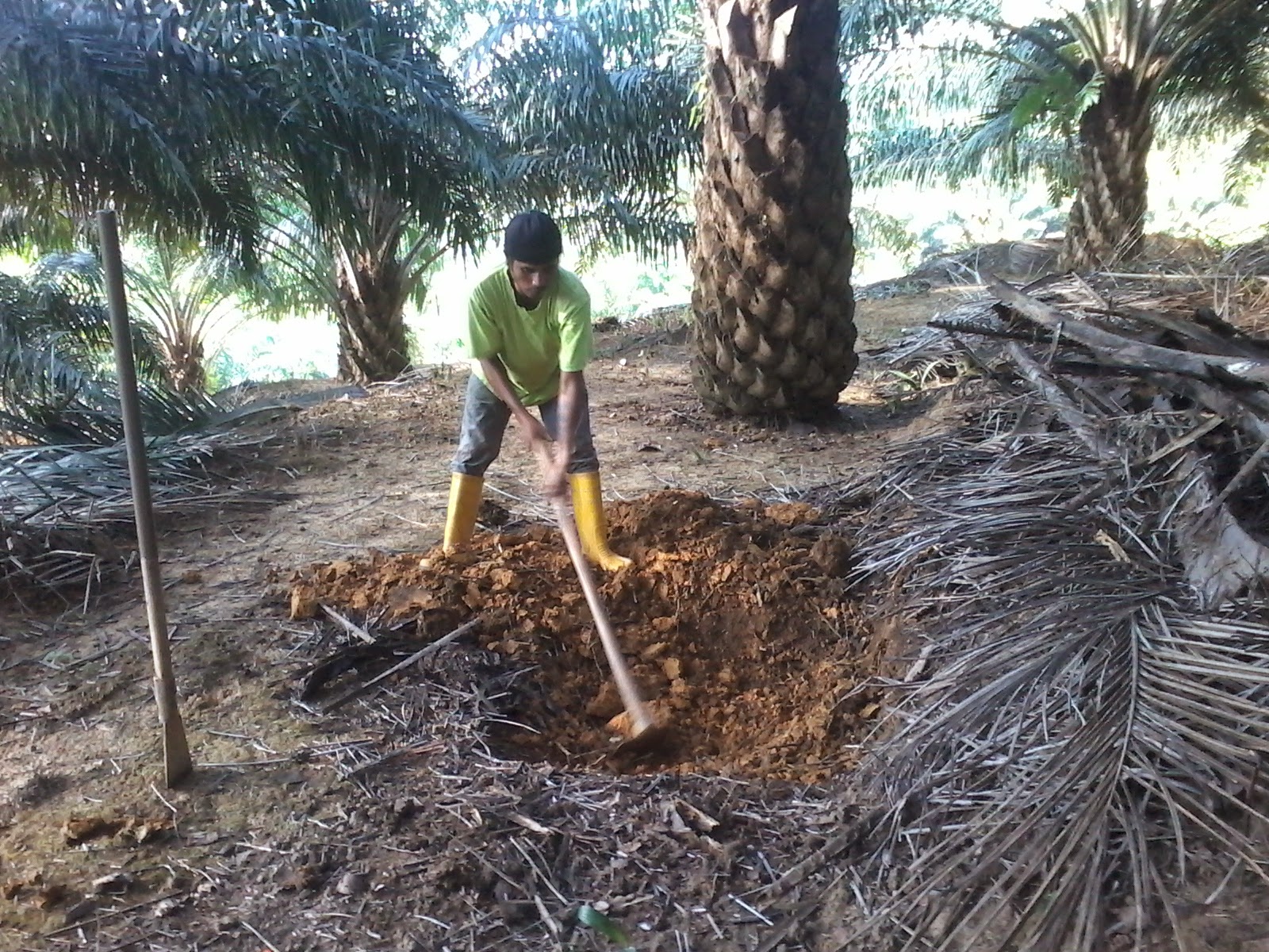 Segar Minda: Silt Pit