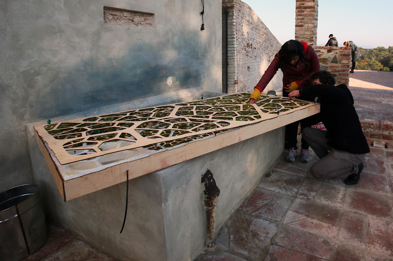 Bio photovoltaic panel produces energy from... - ecODiseño