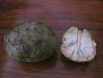 Tanzanianology: Topetope