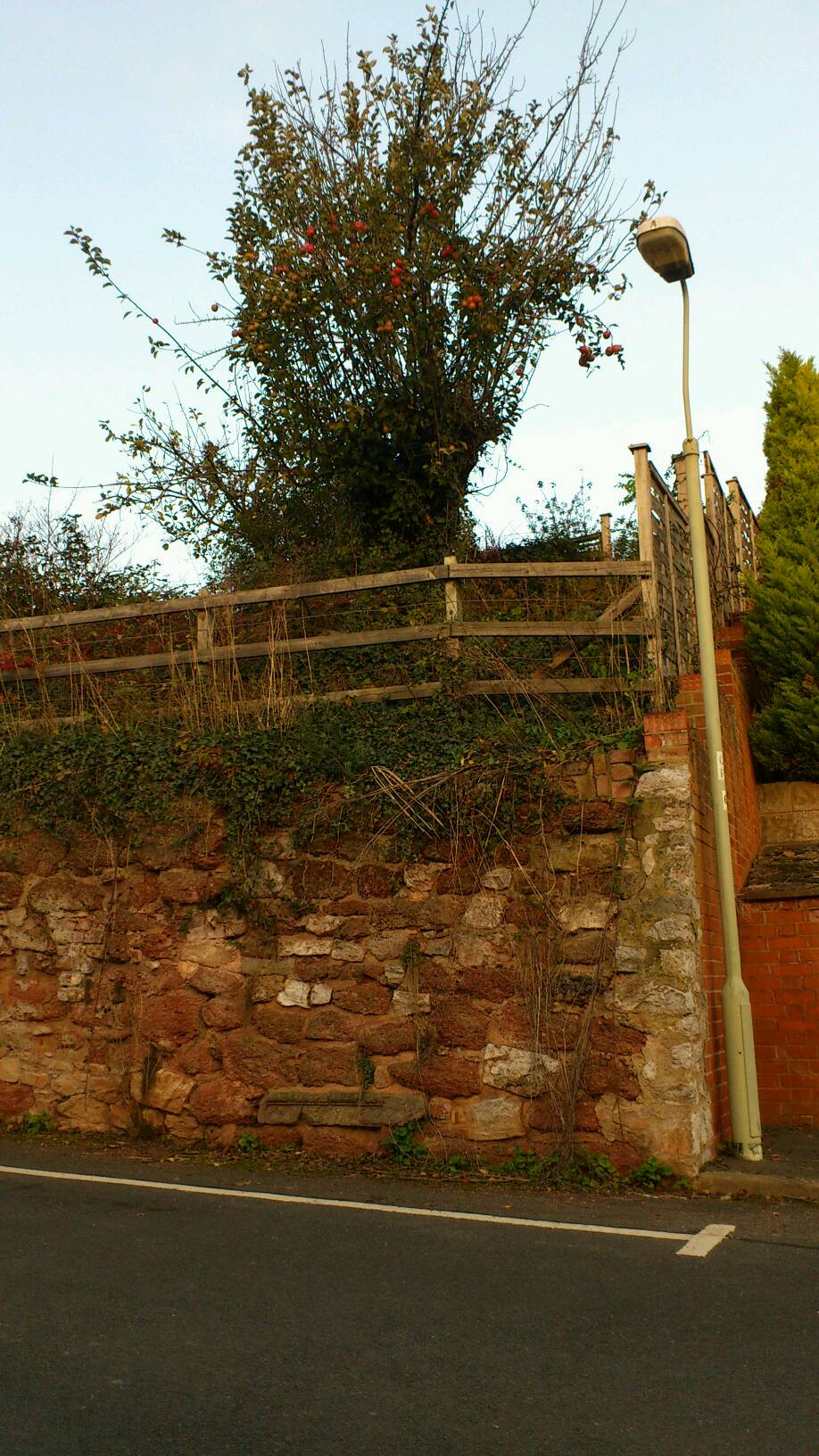 Best of Tree Collecting: Scrumping Apples