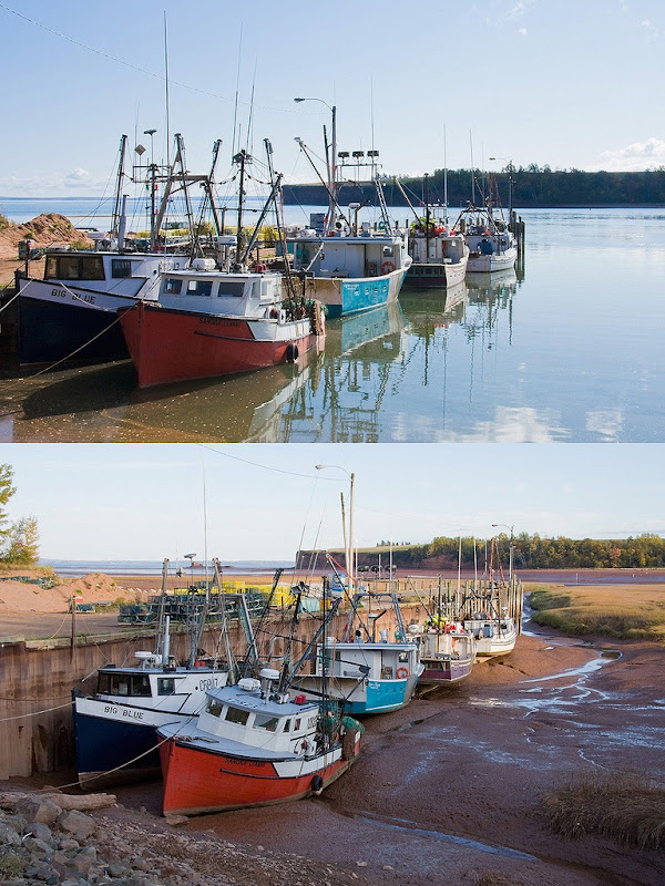 Bay Of Fundy: The Home Of The World’S Largest Tidal Range – EMXE