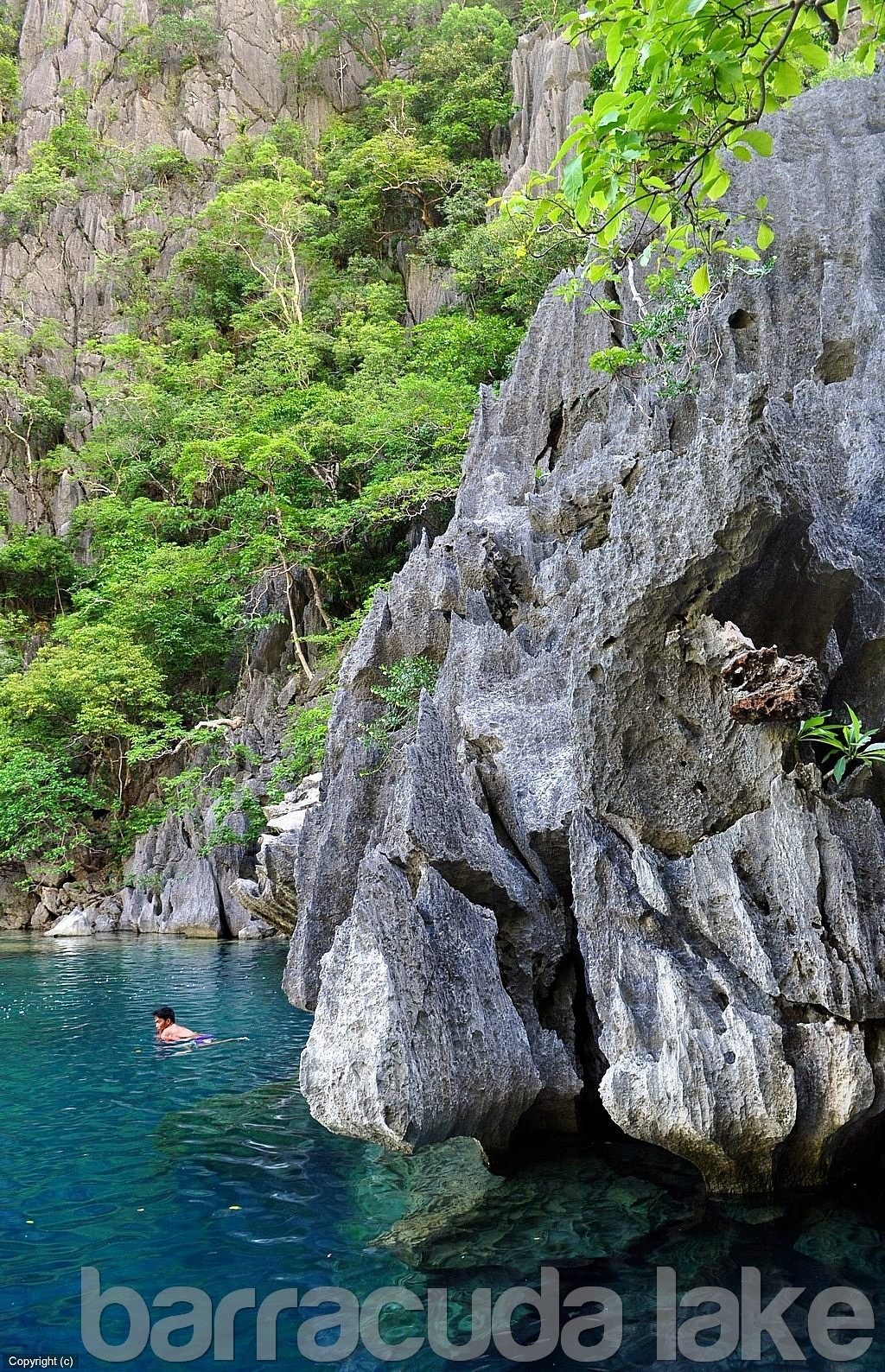 Barracuda Lake| travelogue: Philippines