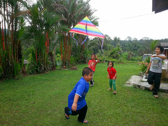 Dunia Kanak-Kanak : Main Layang-layang ~ SuteraUngu87