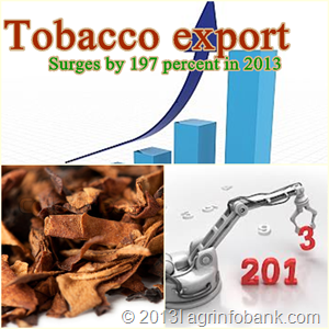 Tobacco export surges by 197 percent in 2013 | Agriculture Information Bank