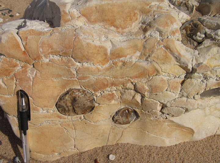 Chert - Sedimentary Rocks