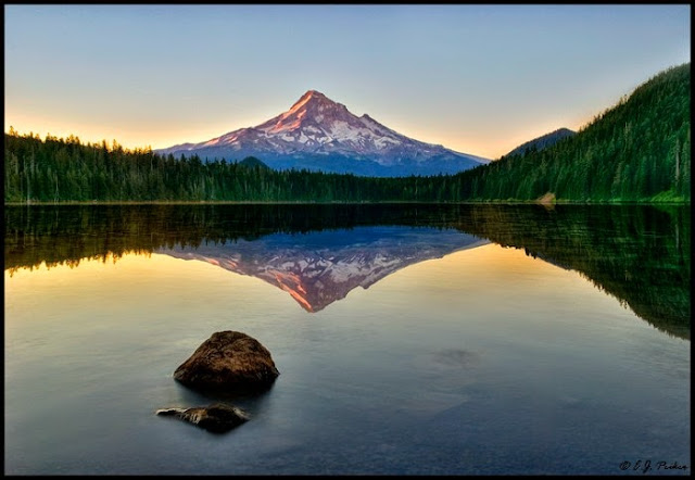 Bloggie: Digital Photo Media: John Shaw's Nature Photography