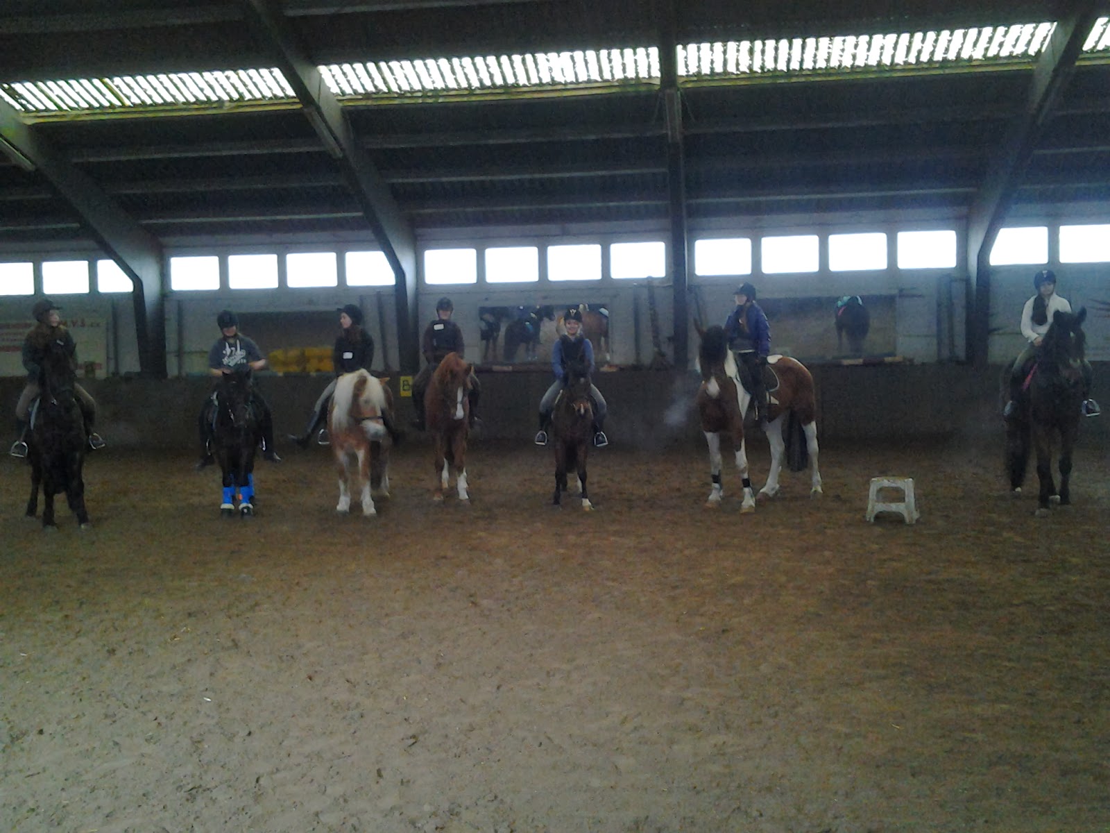 paardrijkamp krokus - Manege Beggard