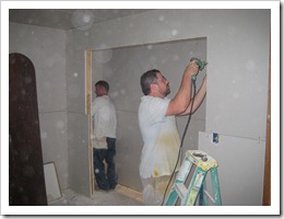 Building the Homestead: Plumbing, Insulation, and Drywall