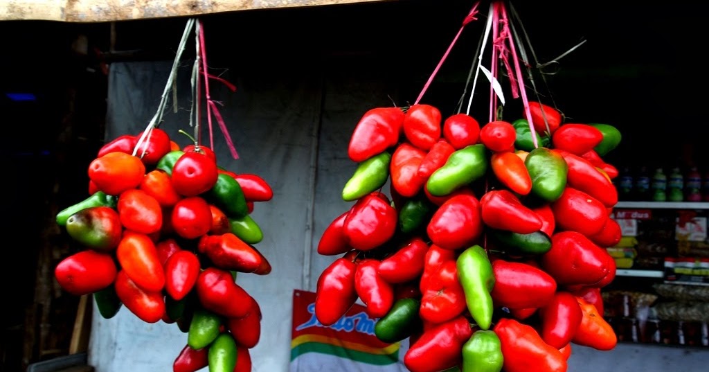Cabai Gendot, Oleh-Oleh Pedas Dari Dieng Dan Semeru ~ Farizan's Blog