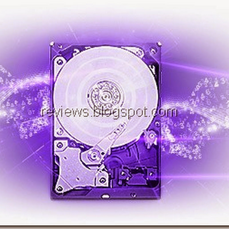 One of a Kind Western Digital Purple Review - Online Brilliant 📯