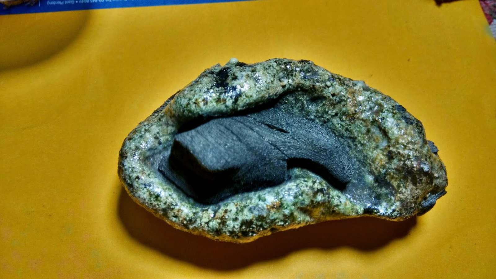 salamrezeki: tahi besi